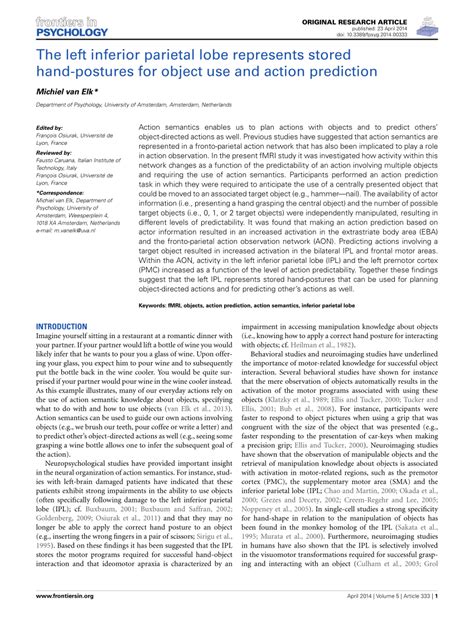 Pdf The Left Inferior Parietal Lobe Represents Stored Hand Postures For Object Use And Action