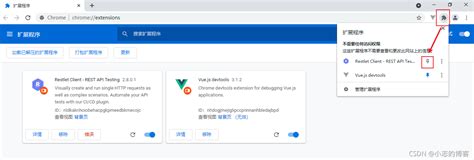 谷歌安装restlet Client插件 Csdn博客