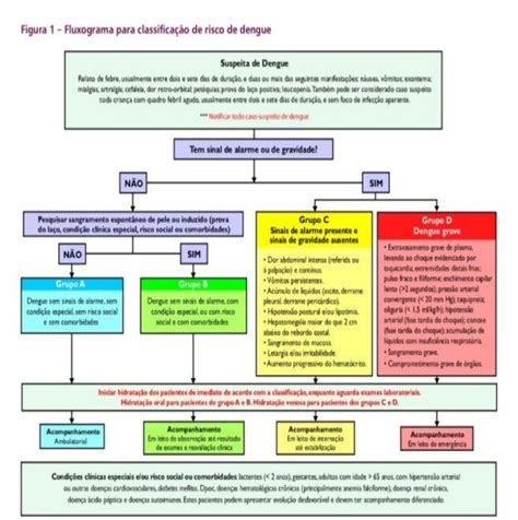 Fluxograma Dengue 2024