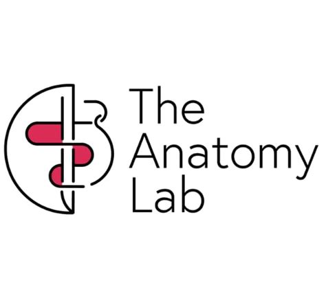 The Anatomy Lab