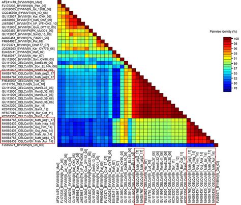 Sequence Demarcation Tool Based Pairwise Sequence Comparisons