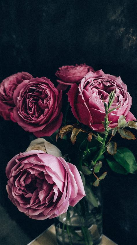 Vintage Rosas Fondos De Pantalla Tumblr