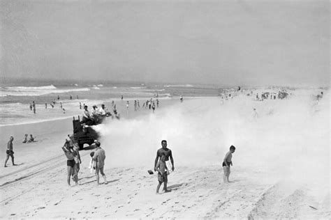 The Legacy Of Ddt Dumping Off L A S Coast Los Angeles Times