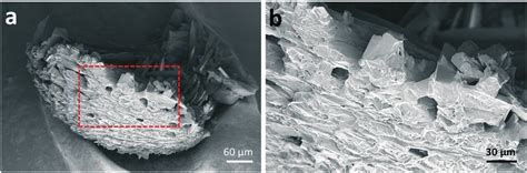 A Sem Image Of A Broken Spherical Agglomerate Of Glycine Crystals
