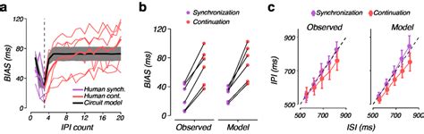 Circuit Model Captures Systematic Biases In Human Behavior During Download Scientific Diagram