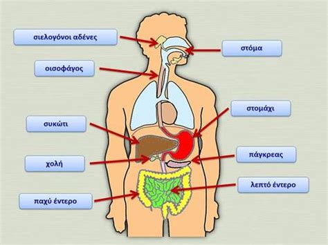 ΦΥΣΙΚΗ Ε ΔΗΜΟΤΙΚΟΥ ΠΕΠΤΙΚΟ ΣΥΣΤΗΜΑ 62 Plays Quizizz