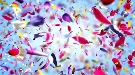 7 400 Exploding Flower Stock Videos And Royalty Free Footage Istock