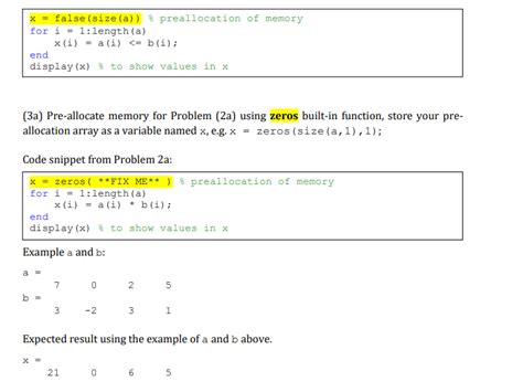 Solved Problem 3 Pre Allocation Of Memory Zeros