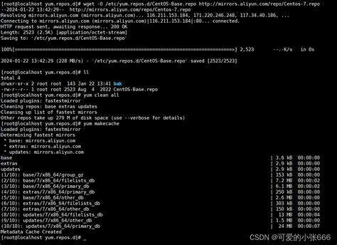 centos配置阿里云yum源和阿里云epel源 csdn博客