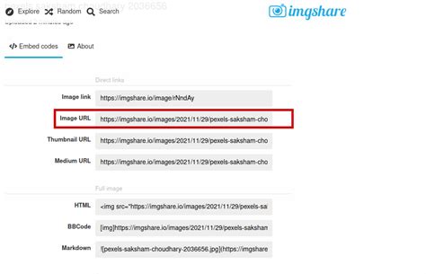 How To Track Ip Address Using An Image [6 Easy Steps] Golinuxcloud