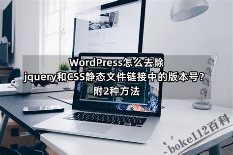 WordPress怎么去除jquery和CSS静态文件链接中的版本号附 种方法 boke 百科