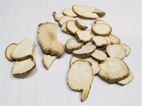 Bạch Chỉ Dược Tính Tác Dụng Chữa Bệnh Và Cách Dùng