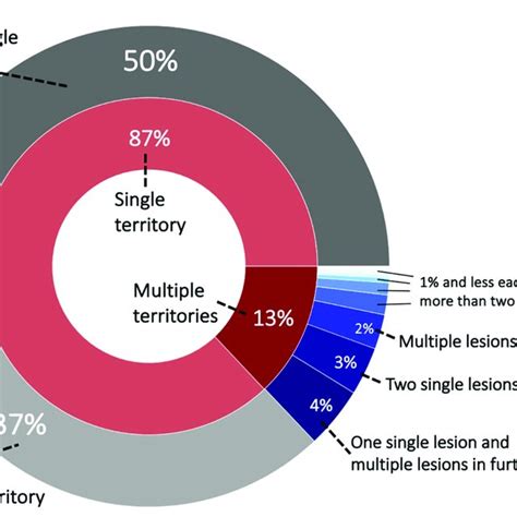 Sunburst Plot Of Lesion And Territory Constellations Most Lesions
