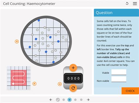 Learnsci Labsim Cell Counting Haemocytometer