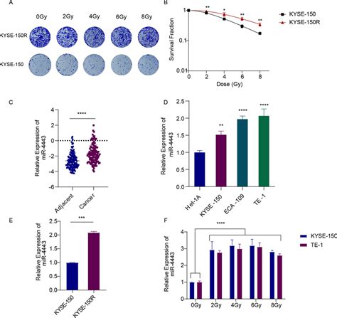 Mir 4443 Was Upregulated In Radioresistant Escc Cells A Clonogenic Download Scientific Diagram