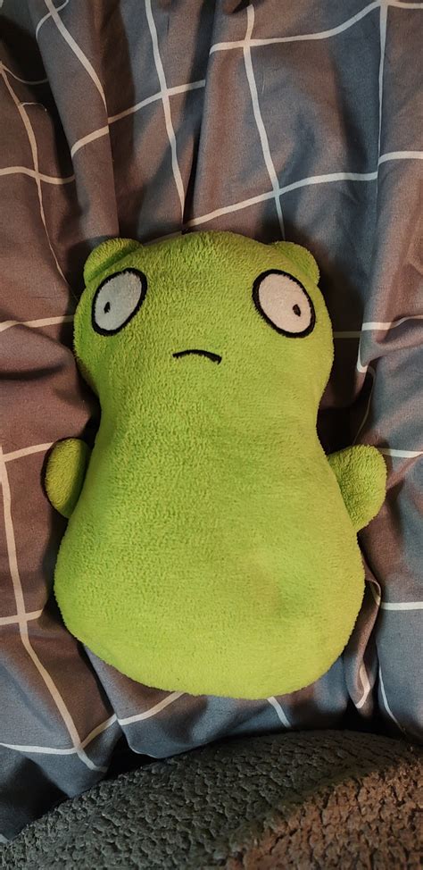 I Have A Very Large Collection Of Plushies All Of Which I Love Very Much But Out Of All Of