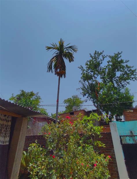 Pushpendra Kumar On Linkedin Village ️💫