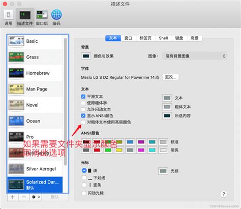 Oh My Zsh下ls目录颜色设置 源码巴士