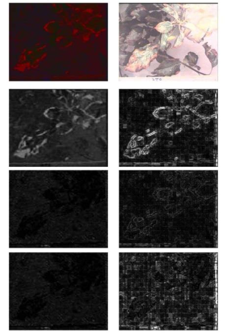 Leaves Absolute Mode Rgb Splitting And Edge Detection Figure 8 Shows
