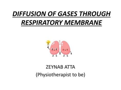 Gas Diffusion In Lung Ppt