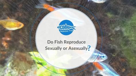 Fenómenos Sociales Concepto Características Y Ejemplos De La Sociedad