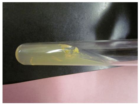 BI 340 Lab Quiz 2 Aseptic Technique Flashcards Quizlet