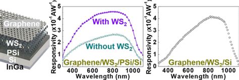 High Photoresponse And Broad Band Graphenews2porous Si