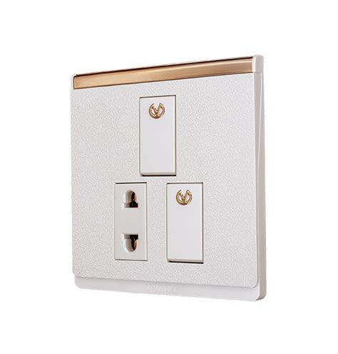 2 SWITCH 1 SOCKET Vivatiq Electrical
