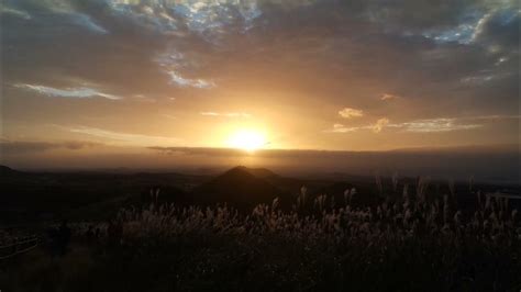 품격과 품위 나는 꿈을 참 많이 꾼다꿈은 내 삶과 내 정신의 거울이다잠을 자기 전에 어떤 생각을 하느냐에 따라꿈의 내용이 결정되는 듯 하다그리고 잠을 많이 자면 다양한