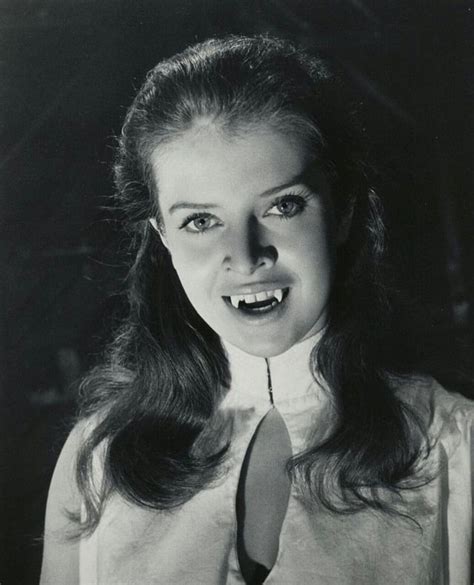 Vampire Fangs Rvampirefangs