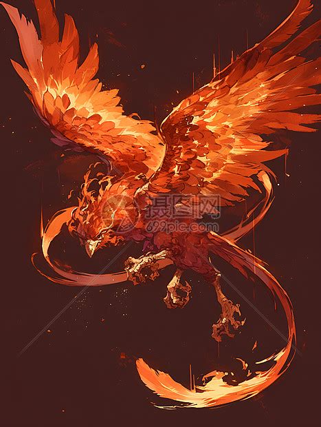 飞舞的朱雀插画图片下载 正版图片601148402 摄图网