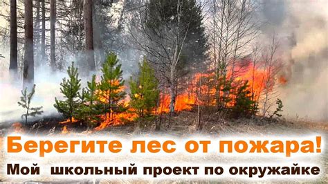 Берегите Леса Фото – Telegraph