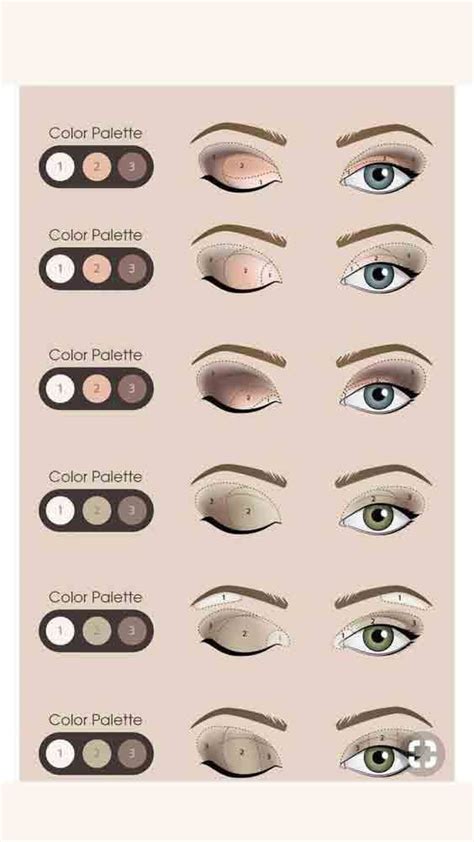 Where To Apply Eyeshadow Eye Makeup Diagram Artofit
