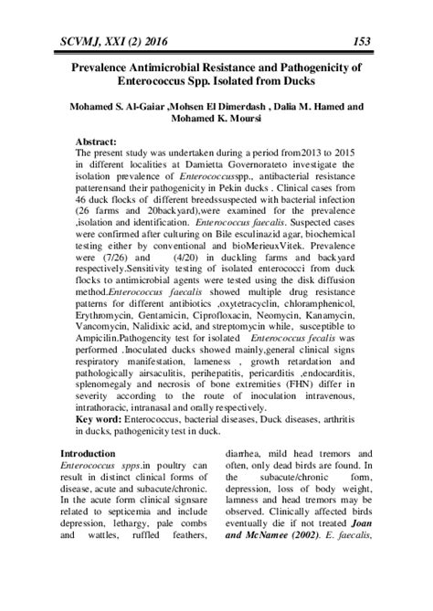 Pdf Enterococcus Resistance And Pathogenicity In Ducks