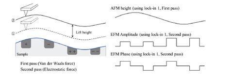Electrostatic Force Microscopy Efm Park Systems
