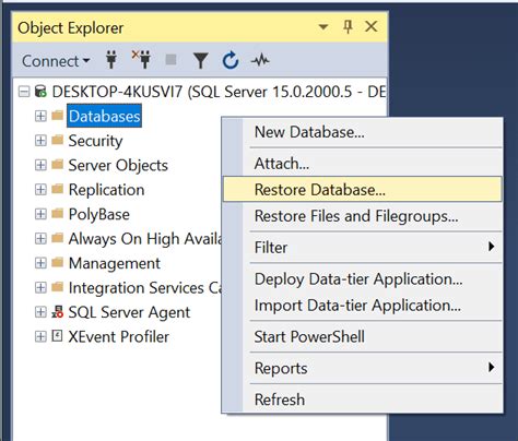 Repair Database Corruption Gam Sgam And Iam In Sql Server