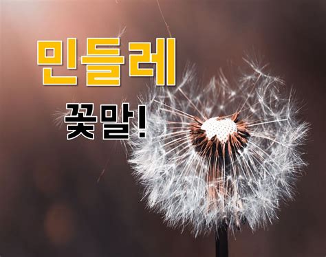 물망초 꽃말과 유래에 대해서 자세히 알아봅시다 Helpful Information