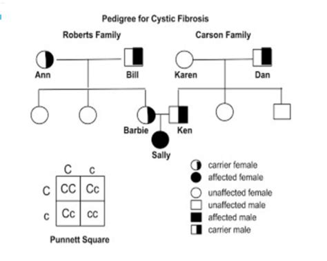 Biology Ch 14 Other Forms Of Inheritance Notes Flashcards Quizlet