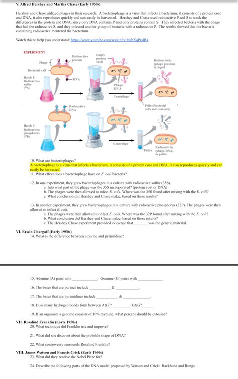 Alfred Hershey Experiment