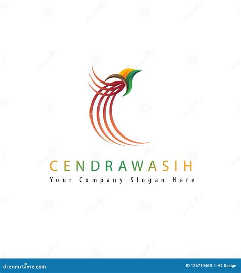 Pájaro Logo Design Illustration De Cendrawasih Stock De Ilustración