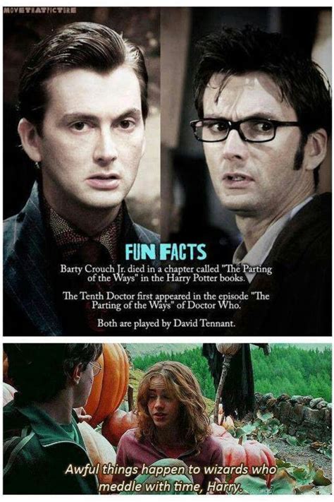 David Tennant Harry Potter Hair