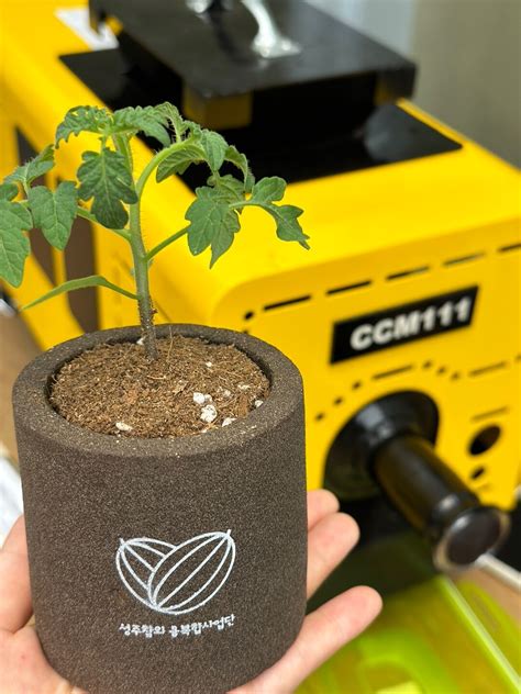 레퍼런스 커피클레이