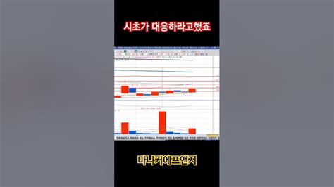 시초가 대응하라고했죠 마니커에프앤지주가전망 에이피알두산로보틱스에코프로에이치엔포스코홀딩스알테오젠유한양행삼성전자주가전망두산에너빌리티대한전선에코프로
