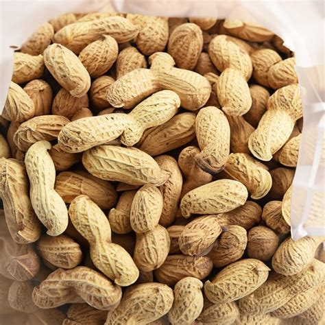 C J Dannemiller Peanuts In The Shell Bulk 25 Lb Box