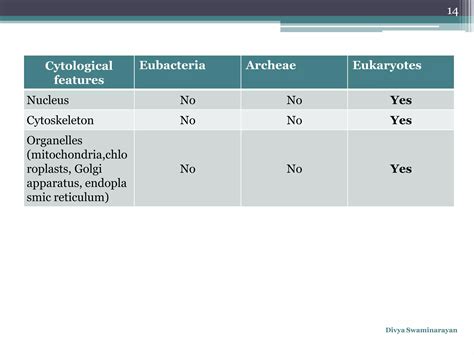Classification Three Domain System Pdf