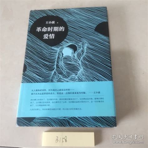 革命时期的爱情王小波孔夫子旧书网