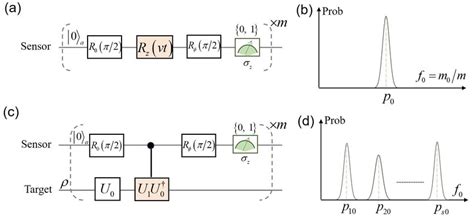Quantum Circuits And Measurement Statistics Of Classical And Quantum