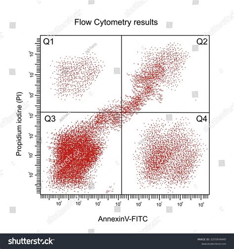 Flow Cytometry Results Apoptosis Cell Separation Stock Vector Royalty