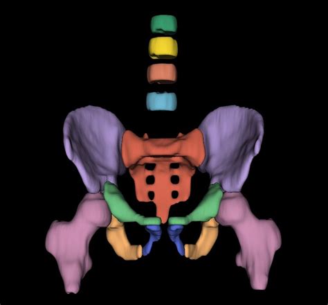Opportunistic Screening For Osteoporosis And Osteopenia Using Machine Learning Ai Blog Esr