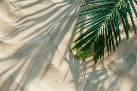 Premium Photo Aesthetic Palm Leaf On Shadow On Sand Background